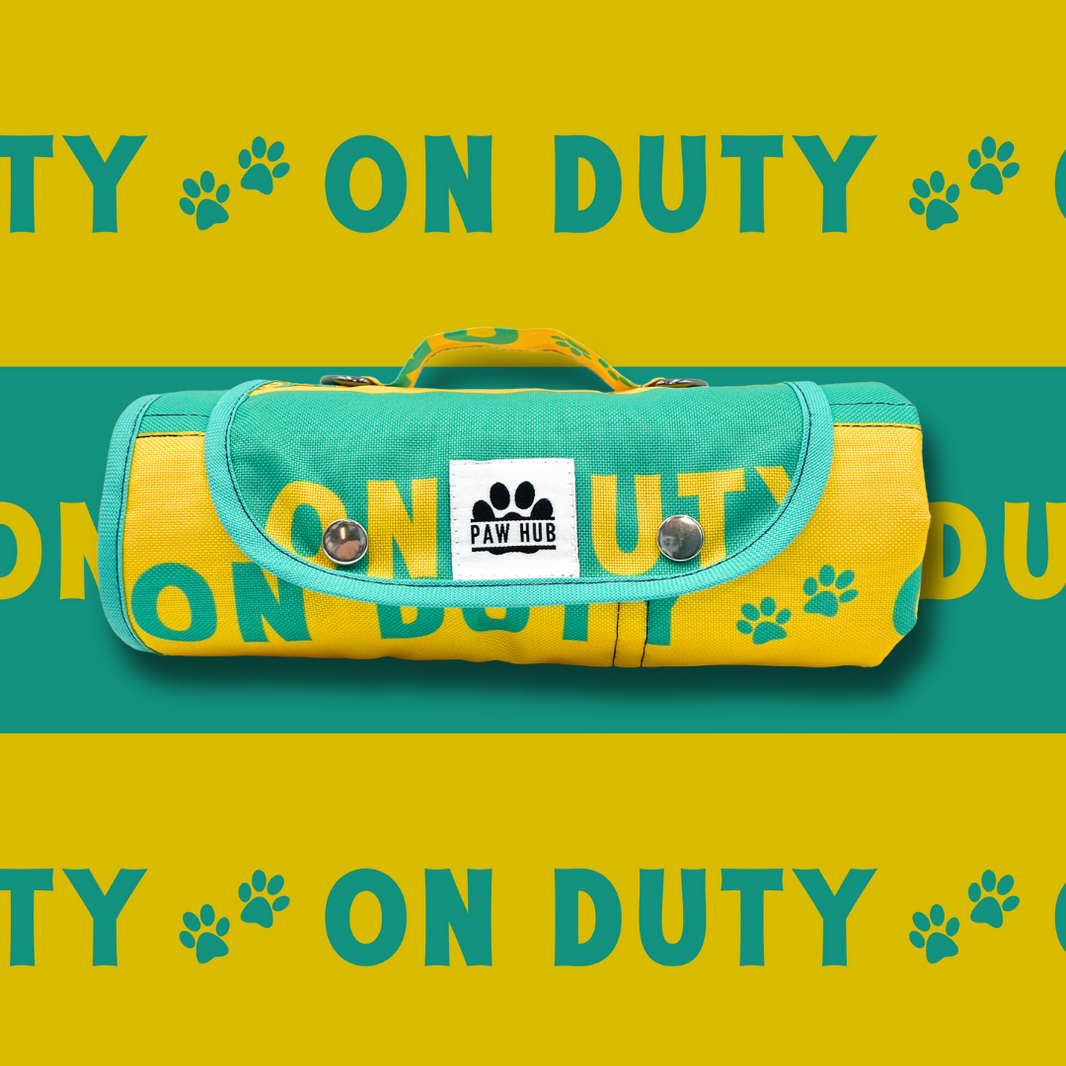 Paw Hub Co. is an online pet accessories shop that focuses on quality.